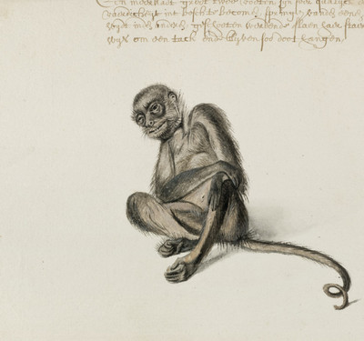 M539【荷兰】弗兰斯·波斯特（Frans Post）绘画网传图库