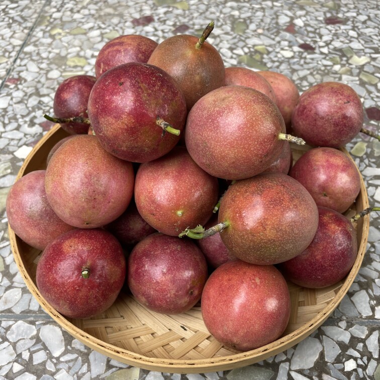 广西百香果鲜果特级大果现摘新鲜水果批发应季水果包邮果酱