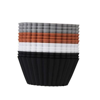 12pcsSiloneCakuTBwarg