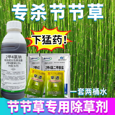 （专杀节节草笔管草除草烂根剂）