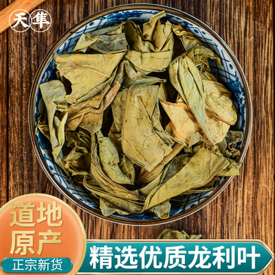 广西野生龙利叶新货正品中药材