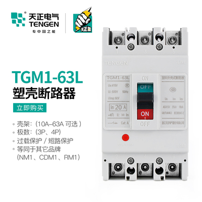 天正塑壳断路器4P 3P空气开关380V三相TGM1-63L/3300/4300 10-63A