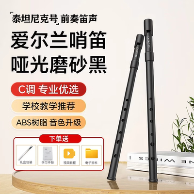 DBAO爱尔兰哨笛初学者竖笛