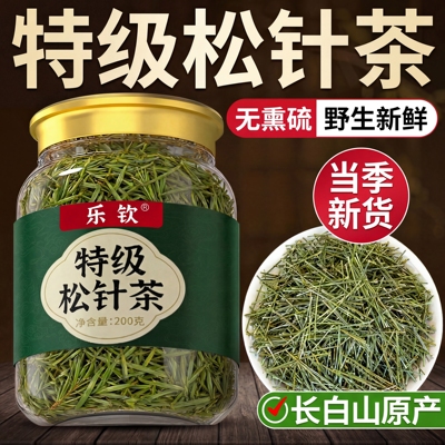 长白山野生马尾松针茶官方正品