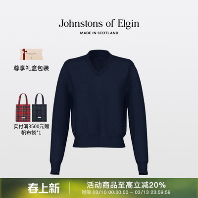 JOE秋冬经典纯色V领羊绒衫女士