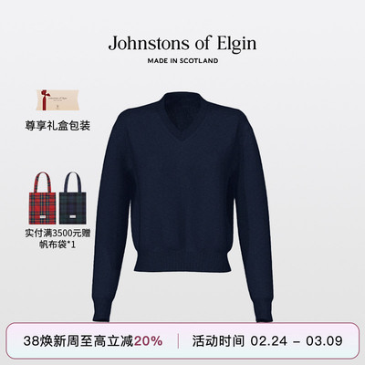 JOE秋冬经典纯色V领羊绒衫女士