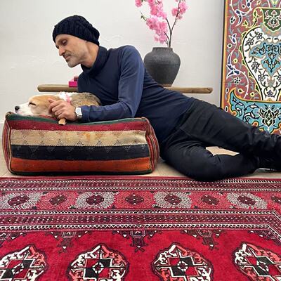 WOVENTALES天织中东进口原装手工羊毛经典Turkmen地毯395x270cm