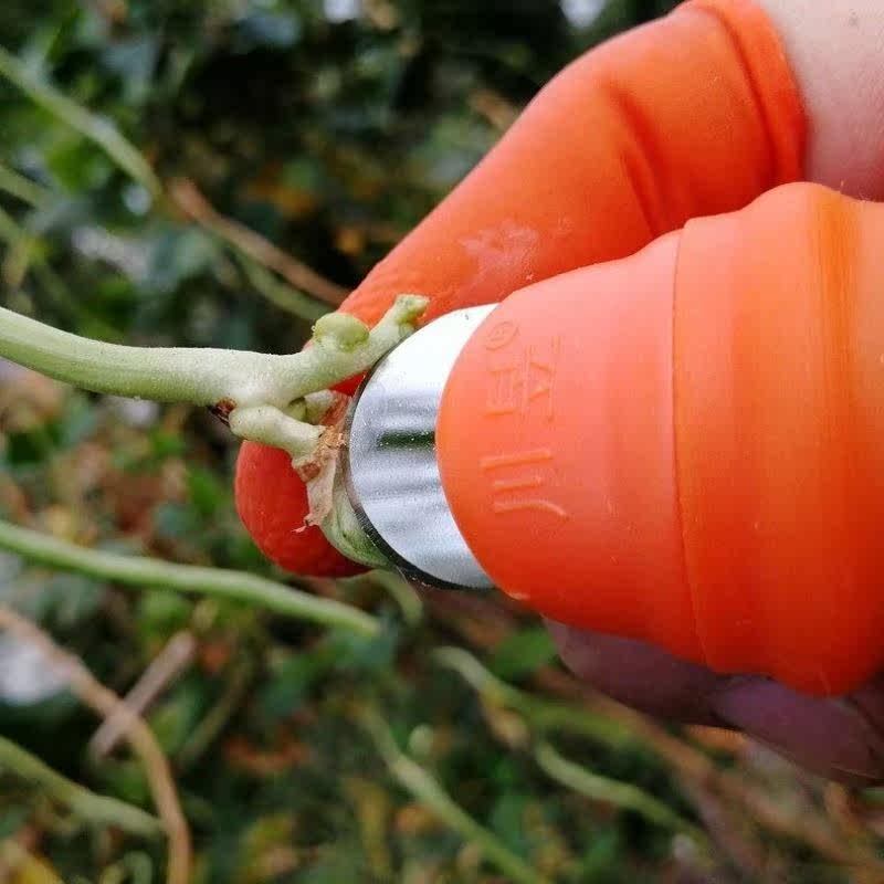 新品摘菜花椒釆摘神器铁指甲蔬菜工具采摘掐菜苔农用保护手指套豆