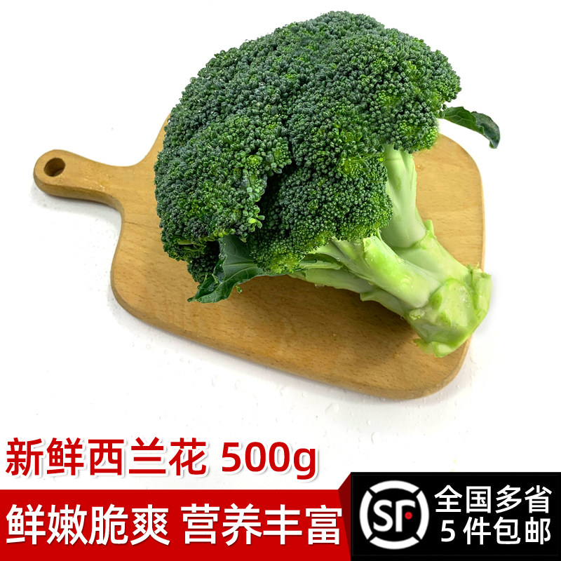 新鲜西兰花500g脆嫩青花菜绿花菜西蓝花椰菜 时令蔬菜5件顺丰包邮