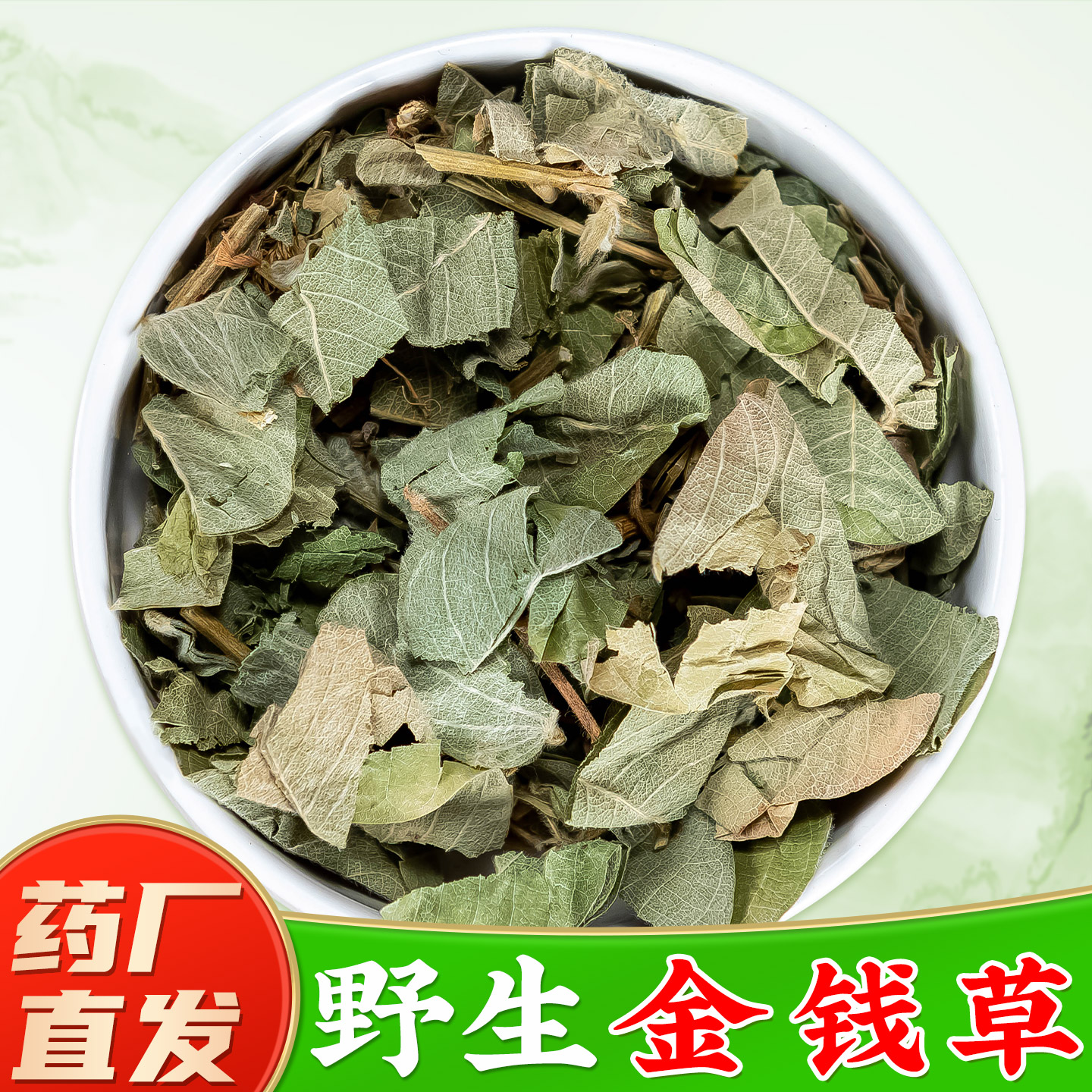 野生金钱草中草药材大叶广金钱草煮水可配鸡内金玉米须