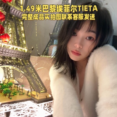 法国埃菲尔铁塔巴黎建筑模型拼装积木大型成年人高难度10001粒
