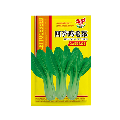 四季可种发芽率高易种植