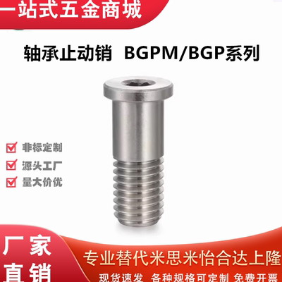 BGP/M系列轴承止动销BKT0