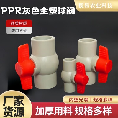 热熔灰色6分开关全塑4分20 25 32 40 50 60 75 90 110阀门PPR球阀