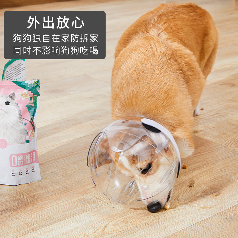 宠物用品狗狗头套防咬透气猫咪塑料头罩宠物项圈配饰