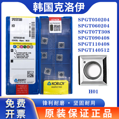 SPGT050204/060204/07T308H01