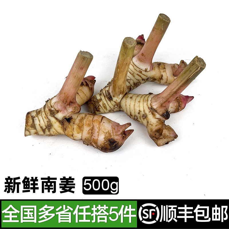 新鲜南姜500g 泰国南姜泰式冬阴功汤调料火锅底料蔬菜生姜香料