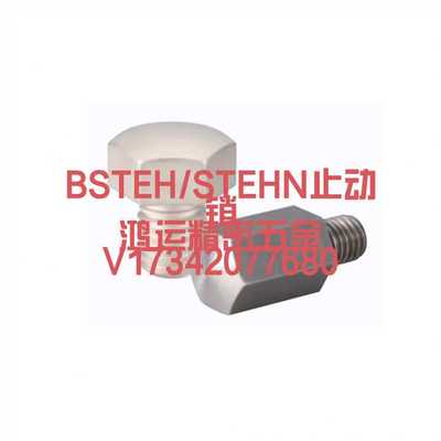 BSTEH5/5.5/17/14/13/10镀镍止动销球面型PAD01螺纹型STEHN/PAC51