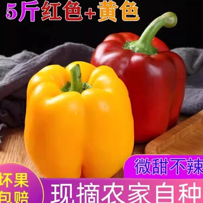 果蜜康农家不辣的新鲜采摘