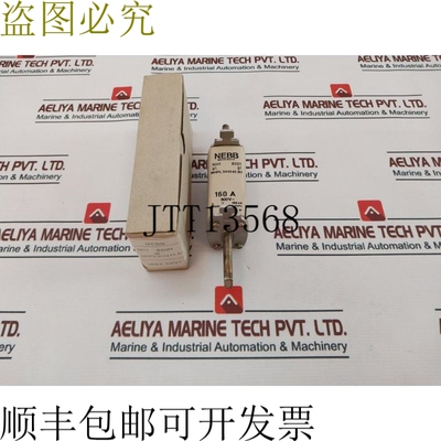 原装供应NEBB NH1 8001 保险丝 160A