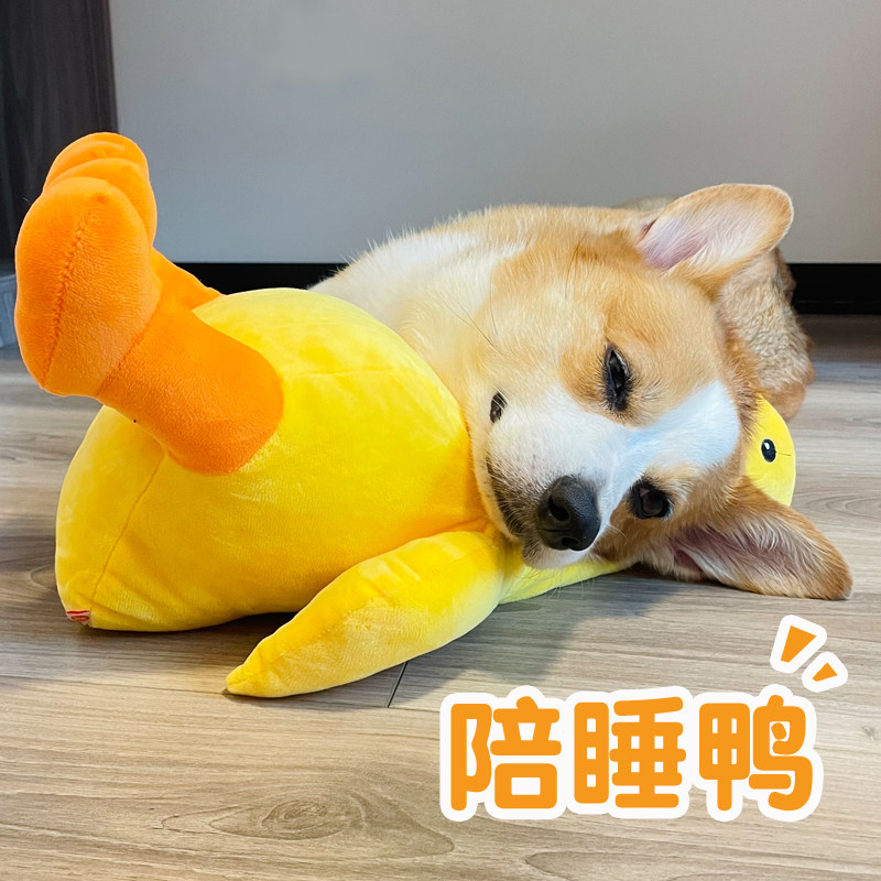 狗狗玩具自嗨解闷神器耐咬宠物毛绒陪睡鸭发声幼犬泰迪小黄鸭玩偶