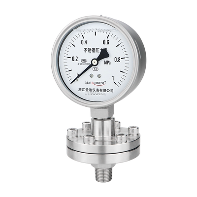 ytp100bf耐腐蚀衬四氟隔膜压力表