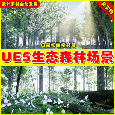 UE5 35 AR VR Northeastern US Plants and Ecosystems 生态森林