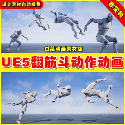 UE5虚幻资源 Flips and Tricks 翻筋斗杂技人物角色动画5.2