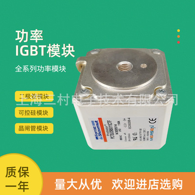 全新熔断器保险PC73UD60V18CTF C301302 PC73UD13C450PA X302976