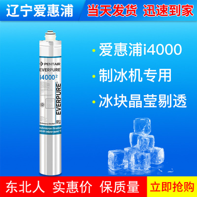 新品爱惠浦c净水器I40002滤芯 商用厨房直饮制冰机专用i4000 大流