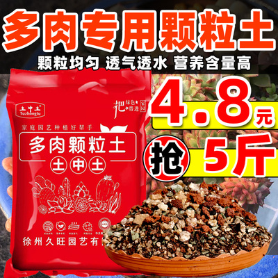 土中土多肉专用大包小苗批发