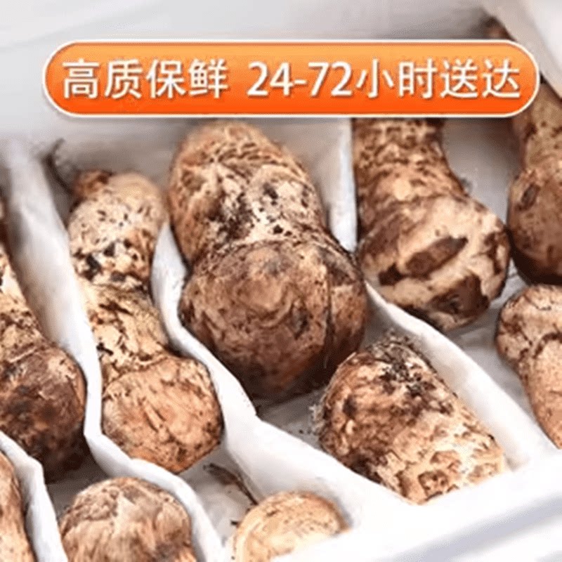 香格里拉新鲜松茸7-9cm500g