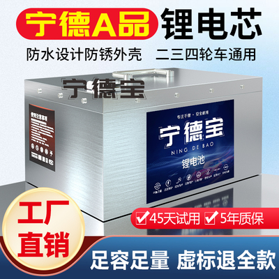 外卖电摩宁德电芯锂电池