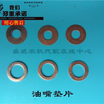 单缸水冷柴油机配件 常发 常柴 四方 亚美柯 S195 S1110油嘴铜垫