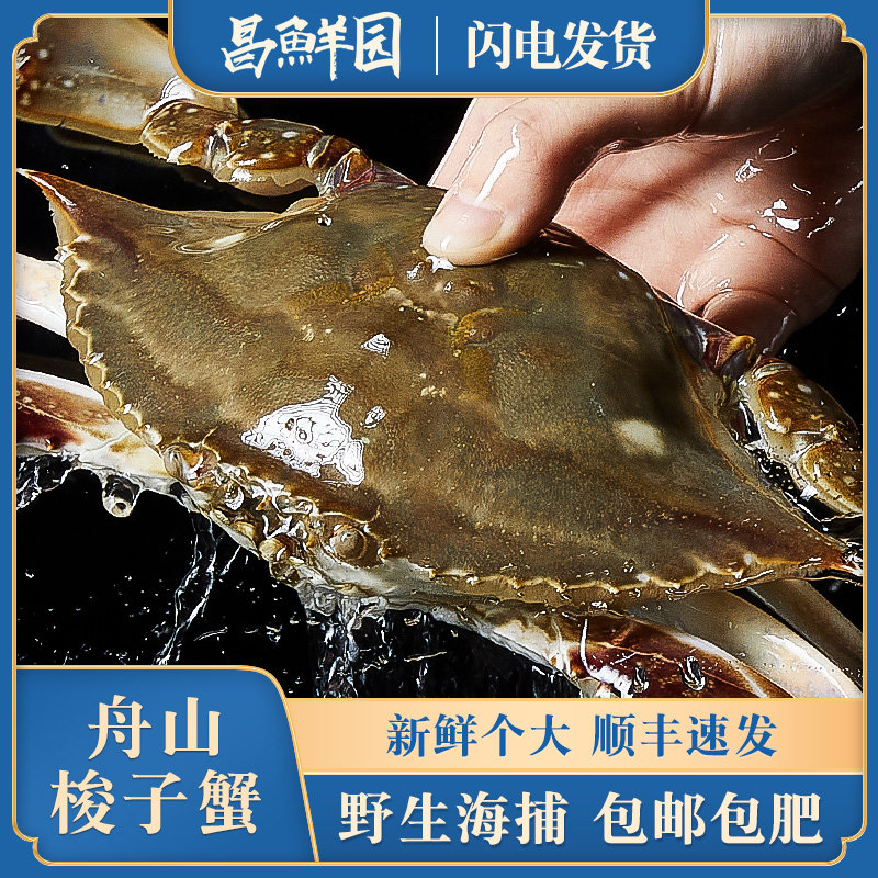 【冻蟹】舟山野生梭子蟹新鲜大螃蟹冷冻海鲜特大公蟹白蟹飞蟹水产