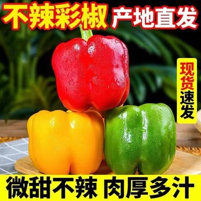 农家自种新鲜圆椒甜椒五彩椒太空椒柿子椒红椒黄椒绿椒灯笼椒甜椒