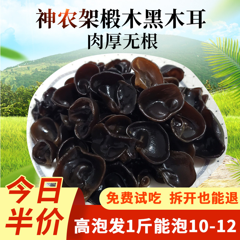 神农架食用黑木耳干货500g正宗椴木木耳无根肉厚野生农家500g新货