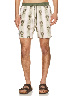 Agua Bendita 游泳短裤 revolve小众新款