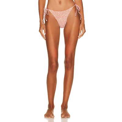 Matteau 比基尼泳裤REVOLVE时尚小众新款