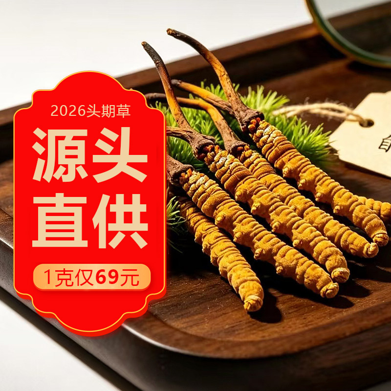 2根1克超大虫草王2026头期草源头直供送礼滋补虫草佳品