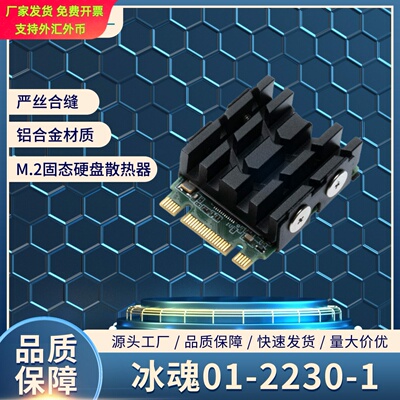 寒彻冰魂012230M2SSD固态硬盘