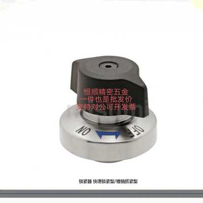 强力型锥销快速锁紧器替米
