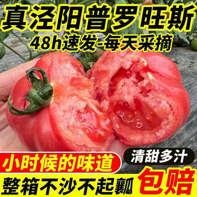 普罗旺斯沙瓤西红柿新鲜现摘大番茄5斤自然熟农家当季蔬菜水果