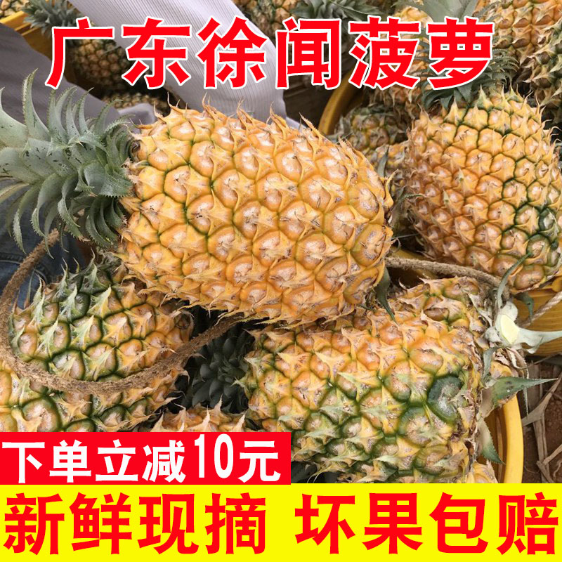甜大菠萝水果10斤装当季香水菠萝新鲜整箱徐闻非泰国小菠萝凤梨