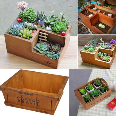 GardenWFlowPotfSusNy