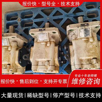 可维修RICKMEIER瑞克梅尔油泵，型号R45/80德国议价