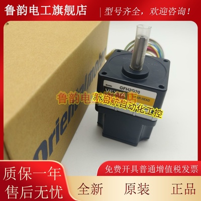 东方减速机GFH2G5/10/15/20/30 GFH2G50 GFH2G100 GFH2G200 询