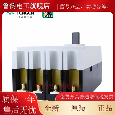 TENGEN天正DZ20L-250/3N300 250A漏电空开塑壳断路器三相四线200A