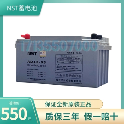 AD12-65NST蓄电池12V65AH