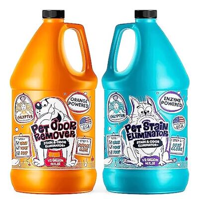 Calyptus Pet Stain and Odor Remover | Orange and Enzyme C